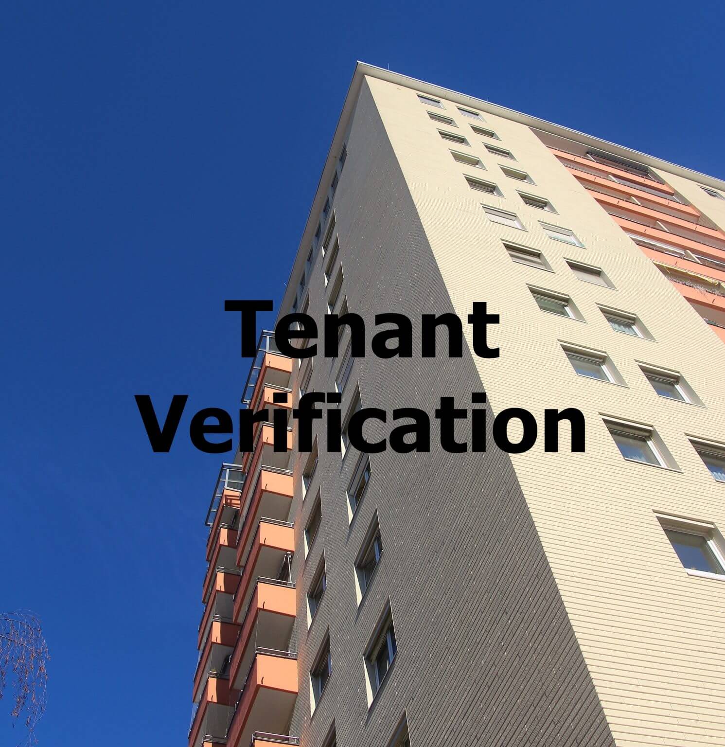 Background Verification | Edvantage Solution